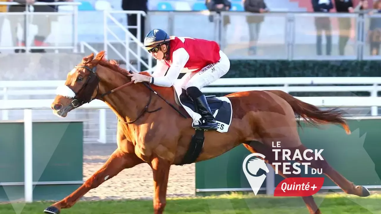 Quinté+: Track Test Quinté+ du mardi 22 août : Barbadin sur tous les ...